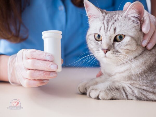Veterinary Compounding - Creative Scripts Compounding Pharmacy in ...